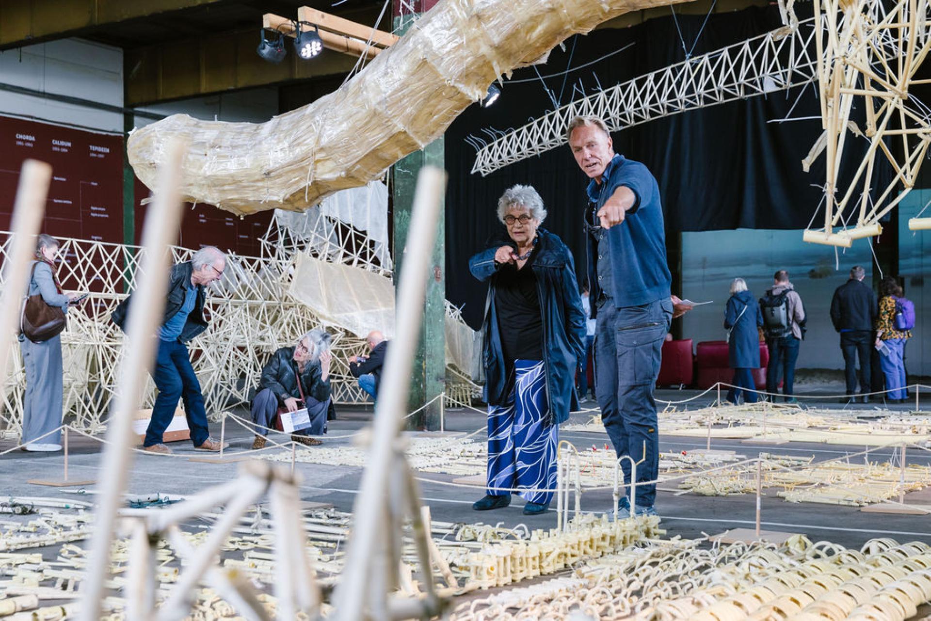 Ontdek het Strandbeesten Mortuarium - Museum Prinsenhof Delft